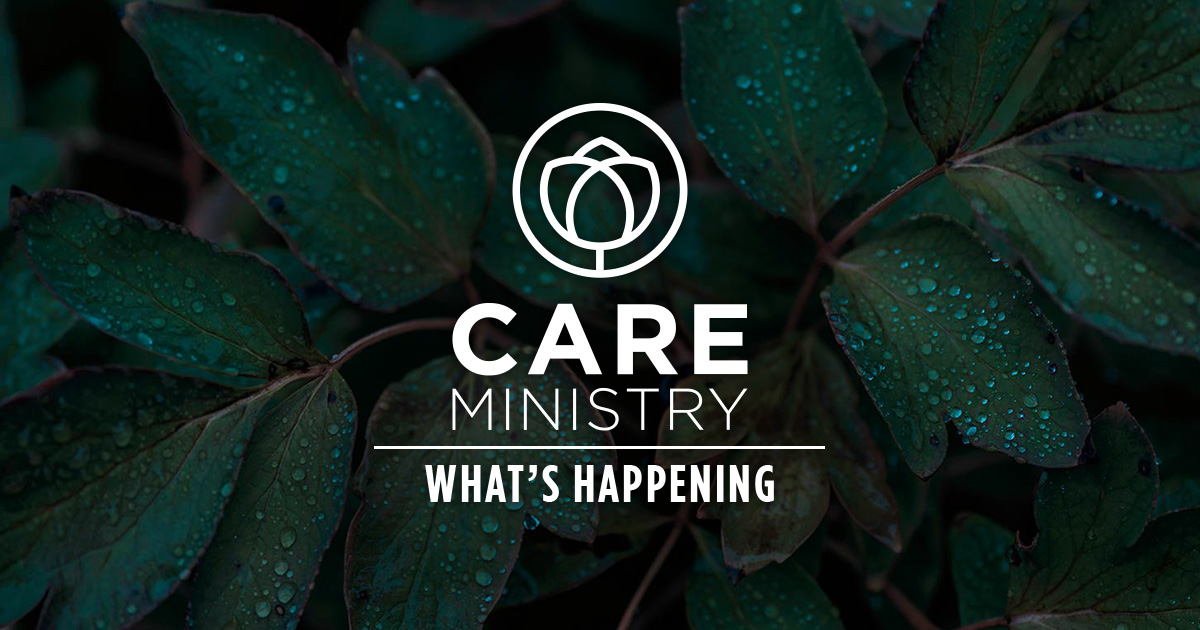 What's Happening | The Well | The Well